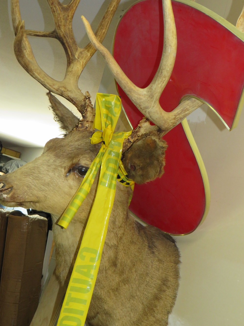 PLEASE NOTE: The garage is stuffed full of items we cannot possibly see. Come on up the mountain ...